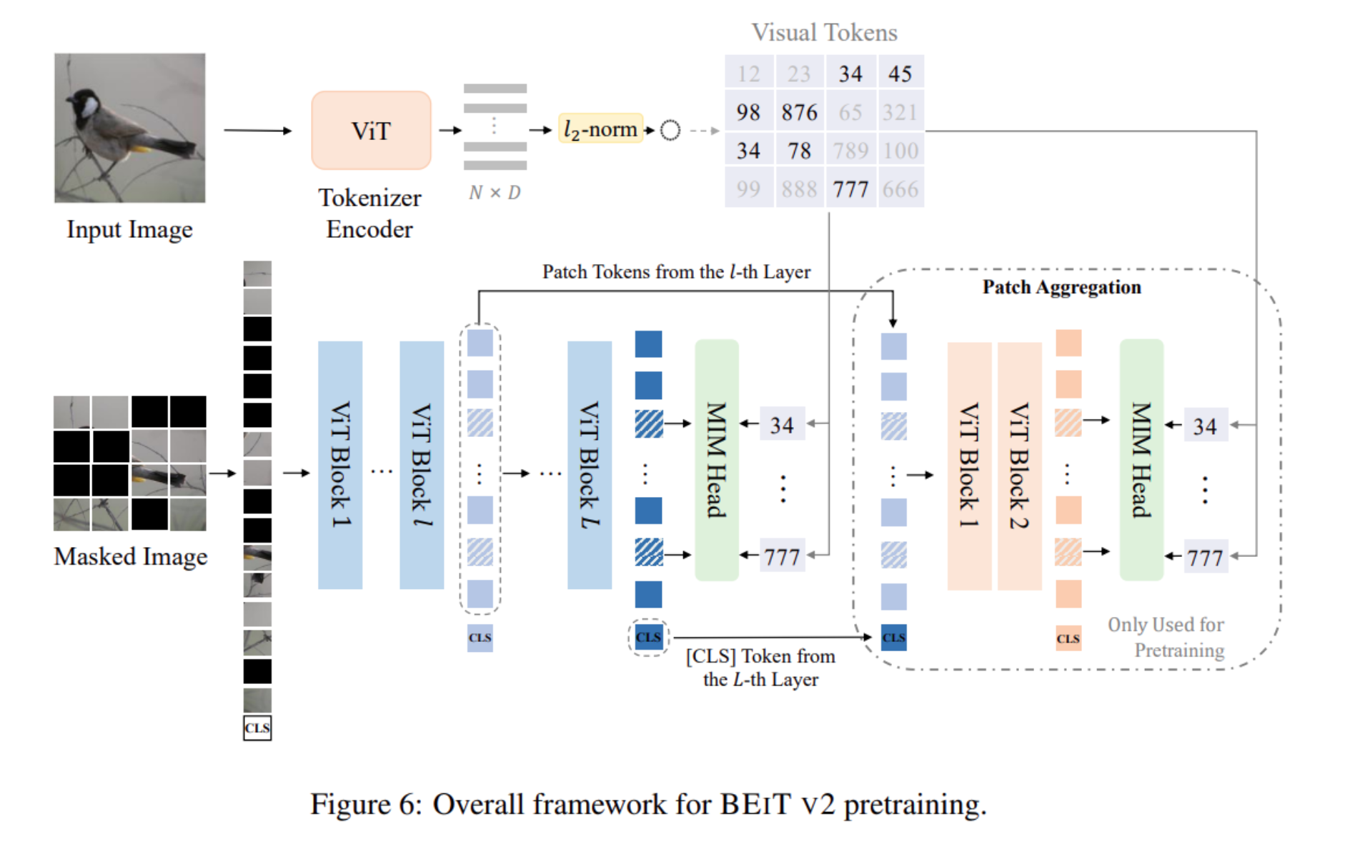MIM（Masked Image Modeling） - 知乎