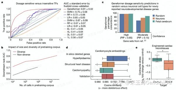 Nature｜第一个计算生物学大模型Geneformer用于下游任务微调 - 知乎