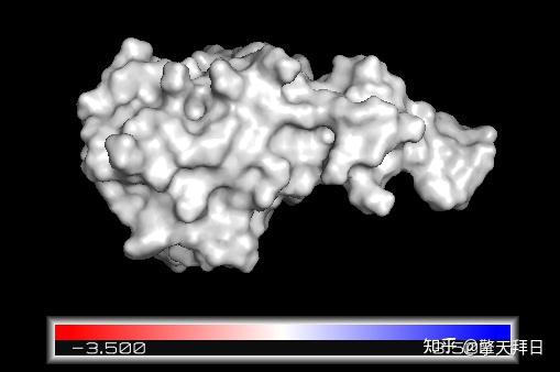 同源建模预测蛋白质三维结构（SWISS-MODEL+Pymol零基础教程） - 知乎