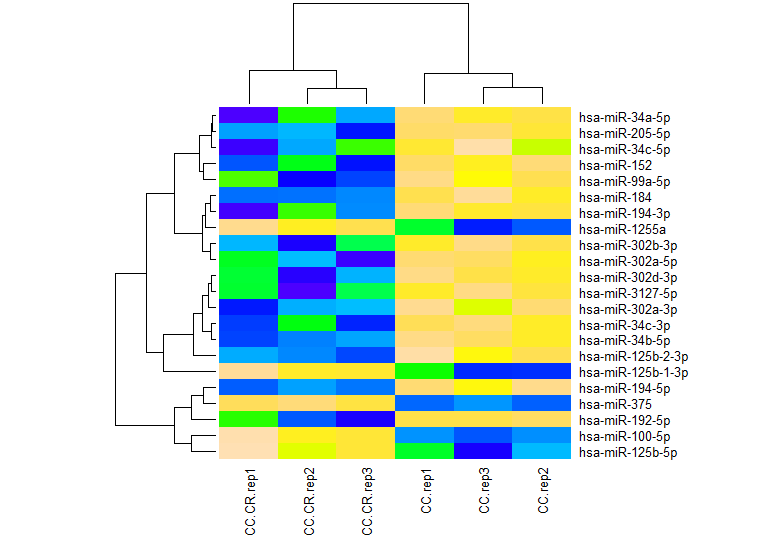【R语言】热图绘制-heatmap函数+默认配色方案 - 知乎