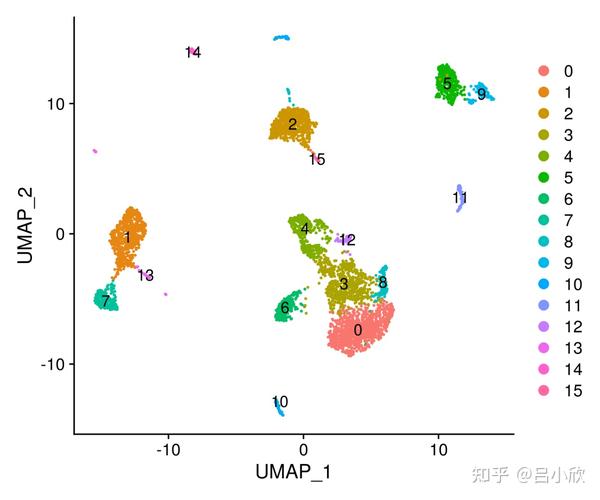 跟着小白使用docker学习Seurat单细胞数据分析 - 知乎