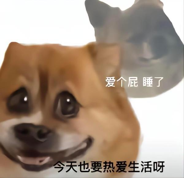 80张最近很火的发疯表情包|精神状态|无水印表情包 - 知乎