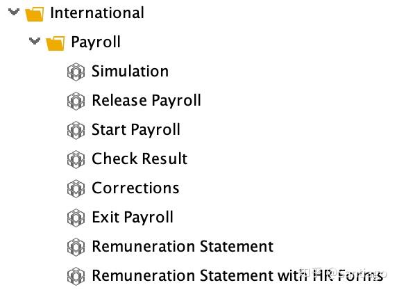 SAP HCM payroll driver - 知乎