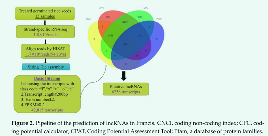 lncRNA鉴定方法整理 - 知乎