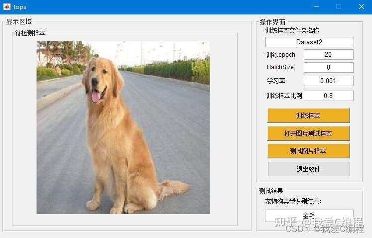 m基于深度学习网络的宠物狗种类识别系统matlab仿真,带GUI界面 - 知乎