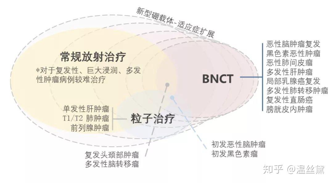 什么是硼中子俘获治疗（BNCT）？ - 知乎