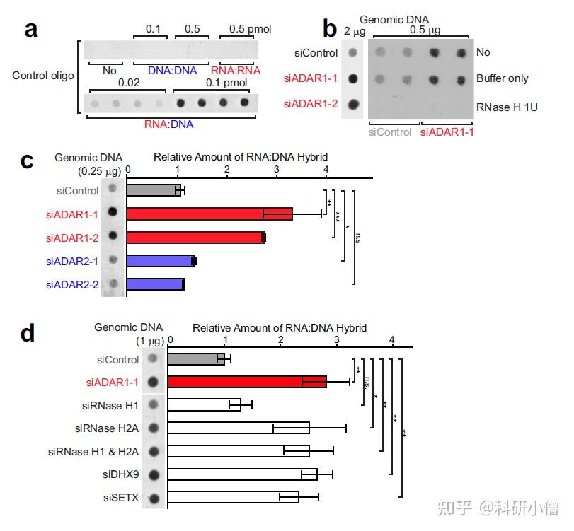 Nat Commun如何深入研究一个酶，你知道吗？ - 知乎