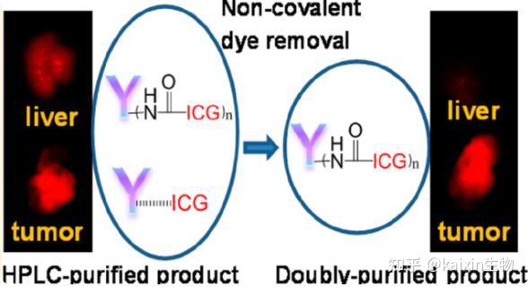 可修饰和标记生物的荧光染料吲哚菁绿（ICG）有哪些特点和应用了？ - 知乎