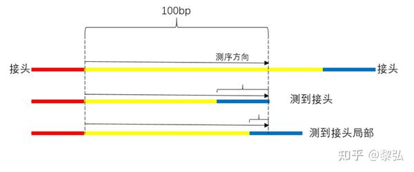 转录组之序列剪切（Trimmomatic）[学习笔记通俗易懂版] - 知乎