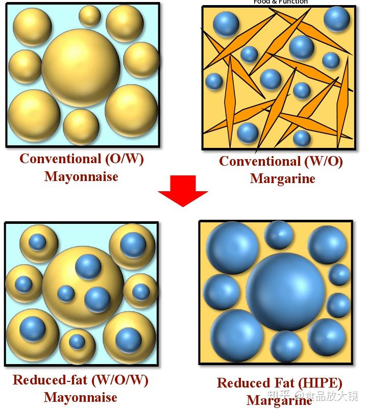 David Julian McClements教授 | 未来食品：食品结构设计优先研究宣言 - 知乎