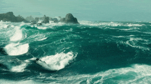 GIF 动态图(6) 自然风景：海洋世界 (船、游鱼、海豚、贝壳等)【多图欣赏】 - 知乎