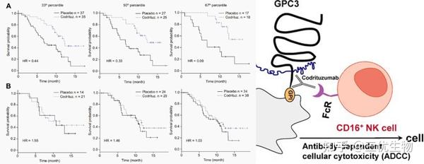 三优药讯｜GPC3 CAR-T细胞联合索拉非尼，肿瘤病灶完全消失 - 知乎