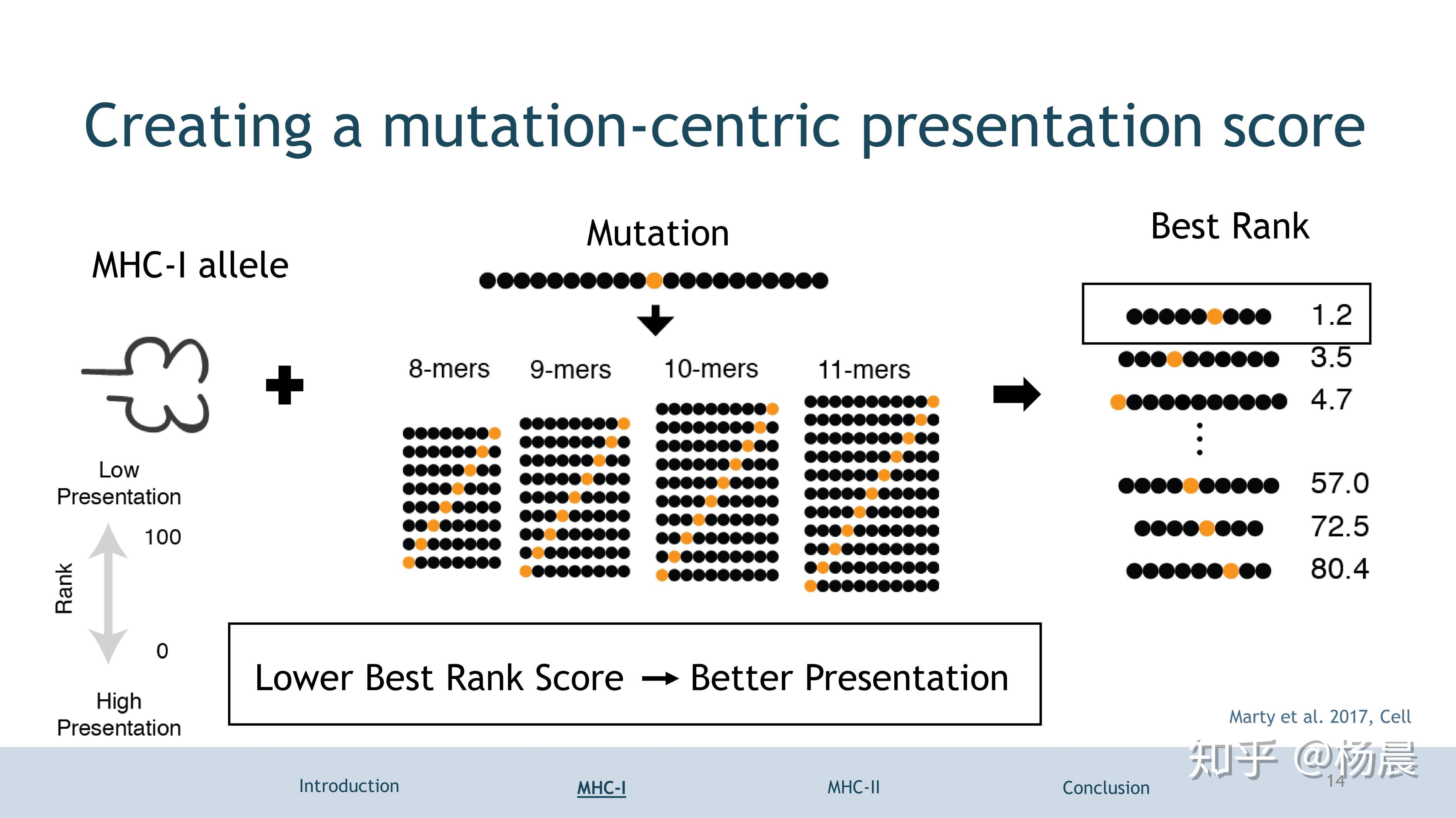 MHC在肿瘤发展过程中的作用 - 知乎