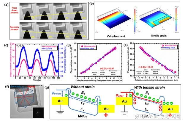 《Adv.Mater.》TEM表征新进展！ - 知乎