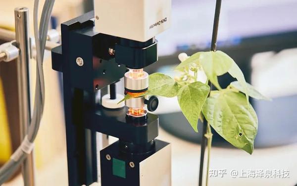 “泰裤辣”！WALZ发布多款PAM的新版软件！ - 知乎