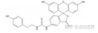 FITC tyramide能将微弱的生物学信号放大成百上千倍 - 知乎