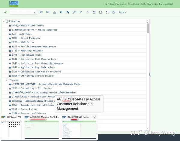 SAPGUI 里的 Belize Theme - 知乎