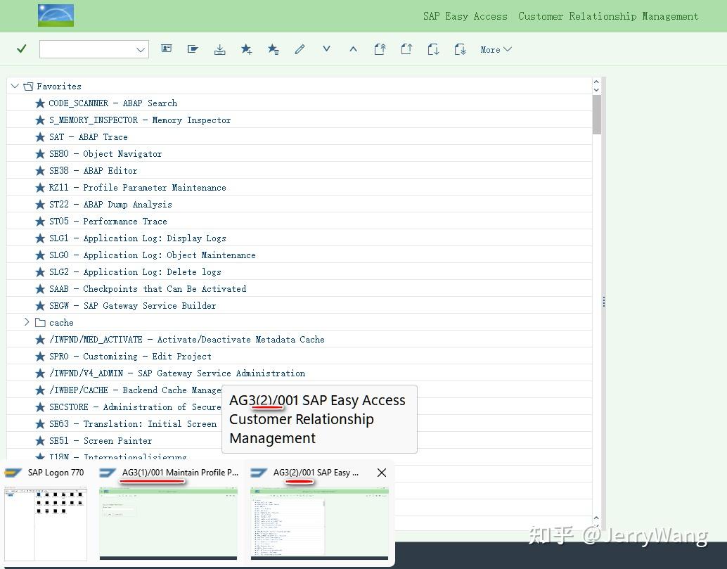 SAPGUI 里的 Belize Theme - 知乎