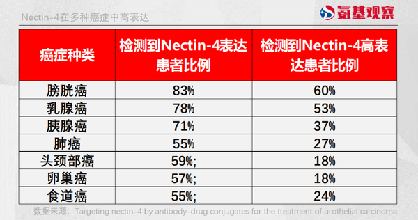 Nectin-4 ADC：一场刚刚起跑的竞赛 - 知乎
