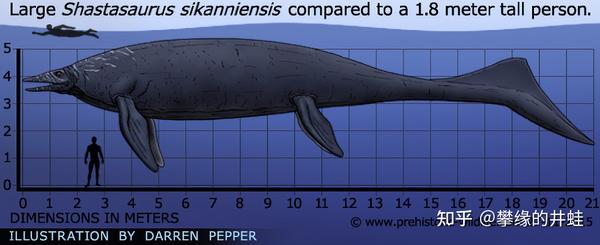 第二百八十七回 幽蓝幻想曲3：巍峨的背脊 - 知乎
