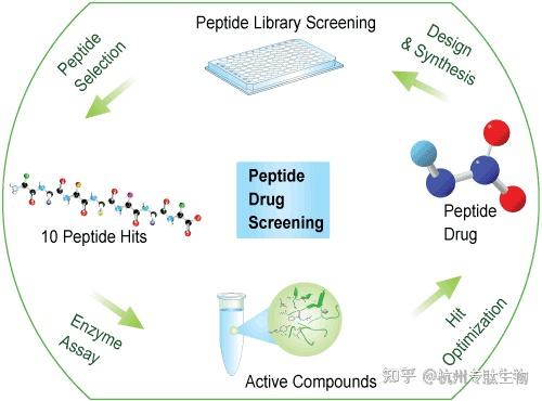 多肽文库构建和筛选 - 知乎
