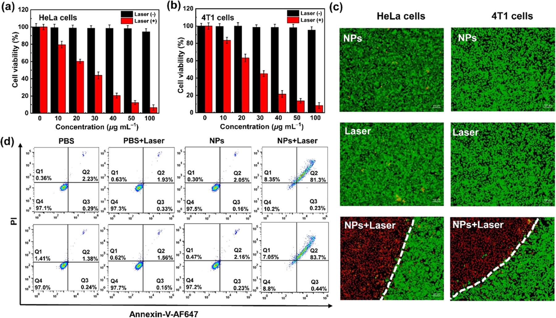 纳米探针 | 开发喹喔啉酰亚胺基半导体聚合物纳米粒子的近红外二区诊疗试剂 - 知乎