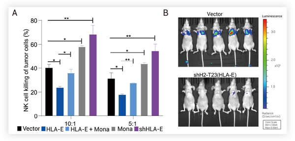 HLA-E: 免疫检查点 "新星"| MedChemExpress - 知乎