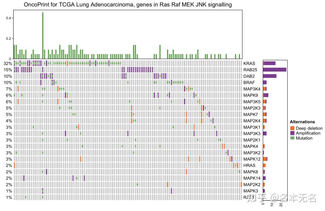 R 数据可视化 —— 聚类热图 ComplexHeatmap(五)oncoprint - 知乎