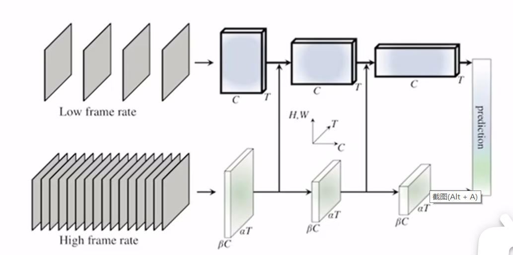 【rPPG论文阅读】PhysFormer++: Physiological Measurement with SlowFast ...