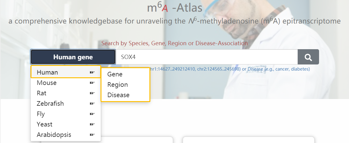 m6A-Atlas：m6A甲基化综合型数据库 - 知乎