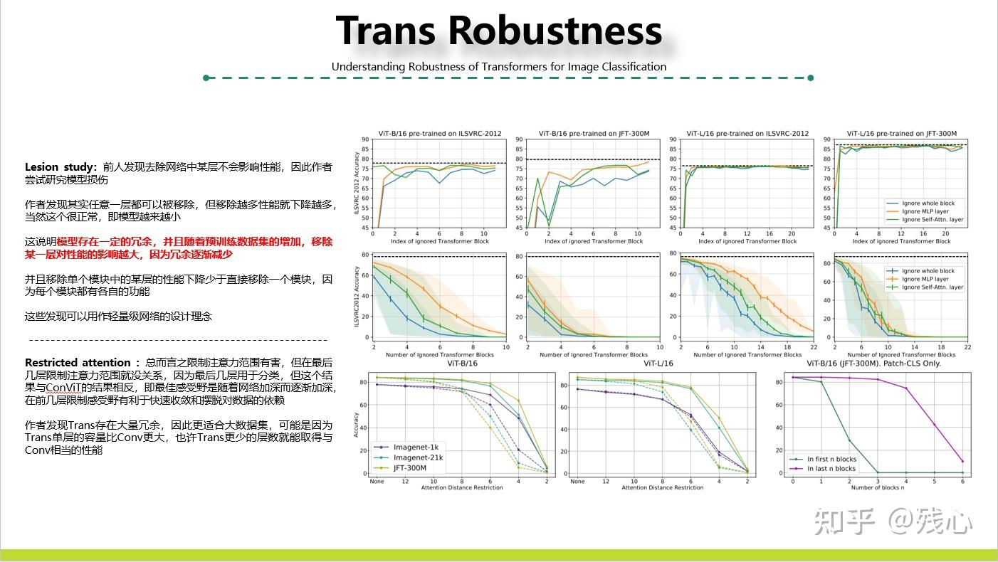 Understanding Robustness of Transformers for Image Classification PPT Sum - 知乎