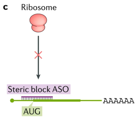 Nature Drug Delivery | Advances in oligonucleotide drug delivery - 知乎