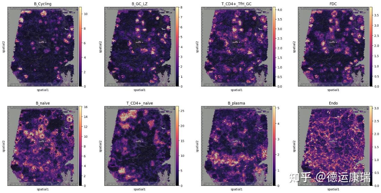 聚焦生信 | Cell2location法联合单细胞转录组进行空间转录组细胞类型映射-附代码 - 知乎