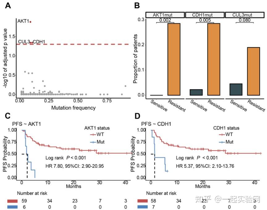 AKT1和CDH1突变联合预测dMMR/MSI-H胃肠道癌免疫治疗的原发性耐药 - 知乎