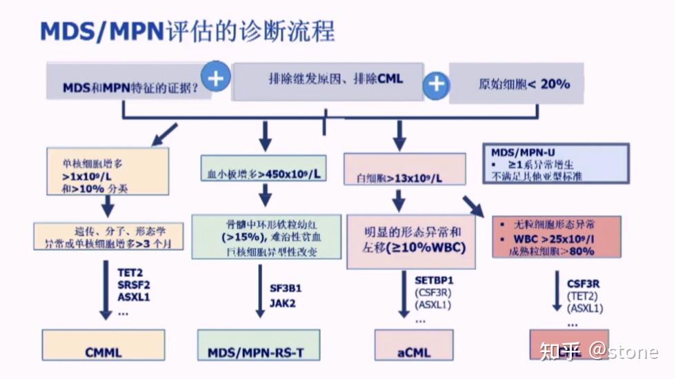 MDS/MPN（骨髓增生异常综合征/骨髓增殖性肿瘤） - 知乎