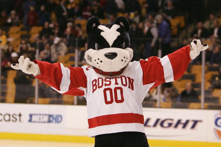 波士顿高校吉祥物大集合 - 知乎