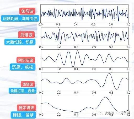 浅说五种脑波 - 知乎