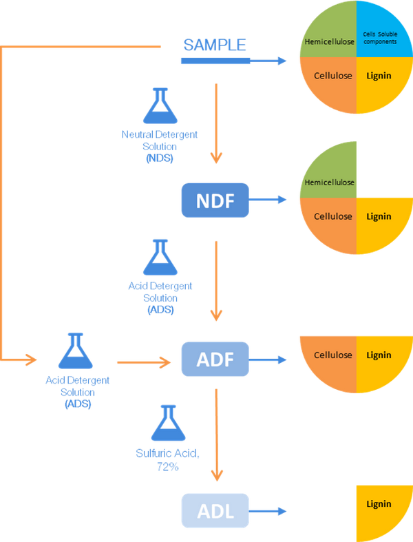 NDF与ADF在饲料中能起到什么作用？ - 知乎