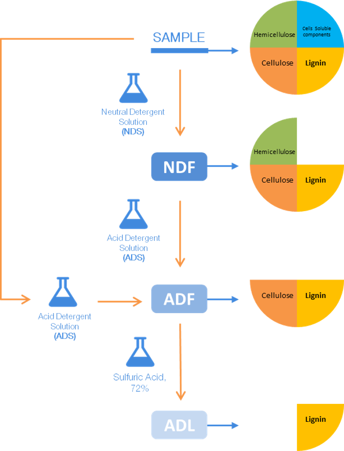 NDF与ADF在饲料中能起到什么作用？ - 知乎