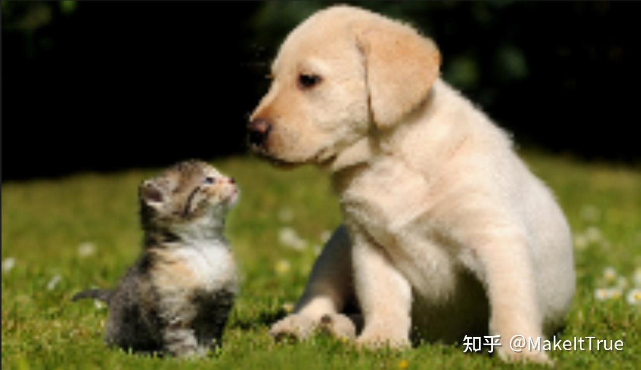 常见图像上采样算法 - 知乎