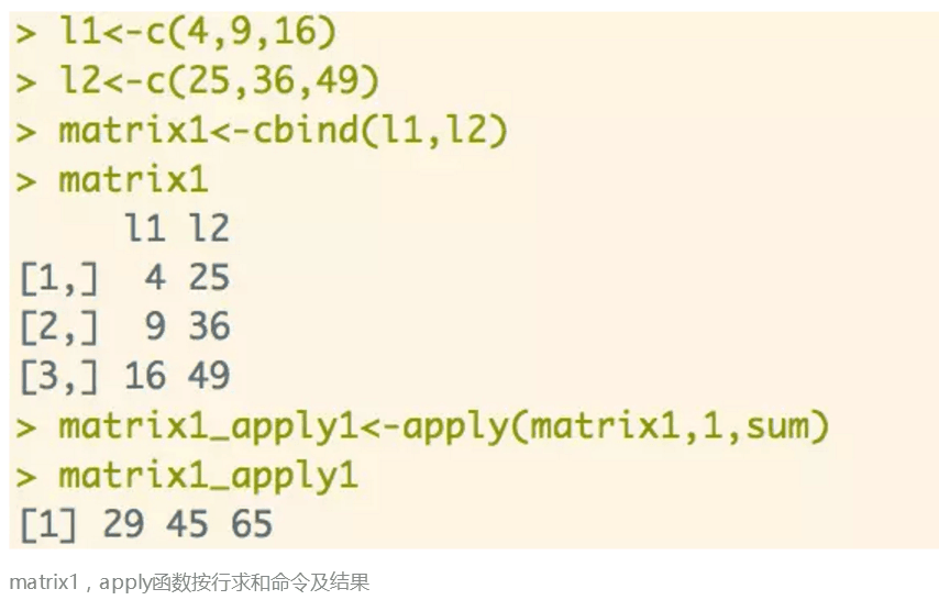 R点石成金三人组：apply,lapply,sapply - 知乎