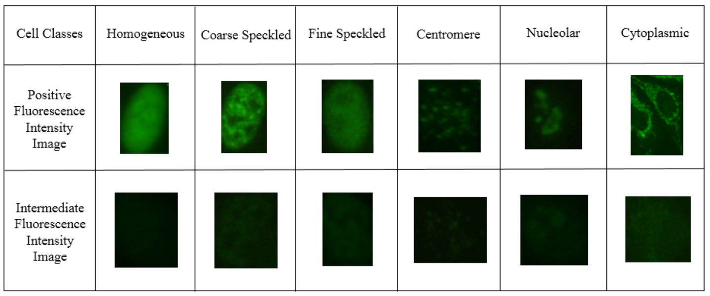 ICPR-HEp-2 细胞分类数据集介绍 - 知乎