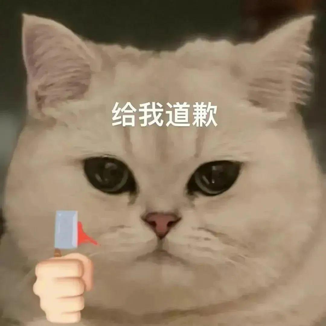 500张最近热门的表情包！持续更新 - 知乎