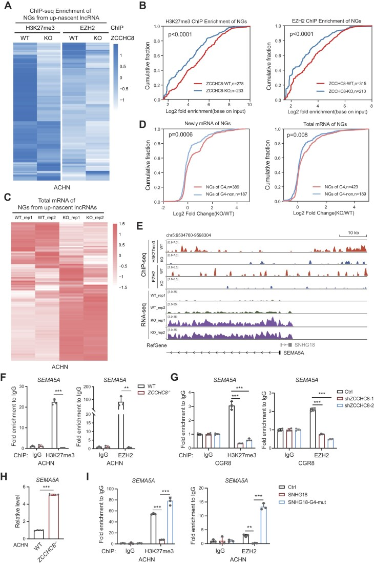云序用户Nucleic Acids Research（IF 16.6）| SLAM-seq，ChIP-seq，RNA-seq联合揭秘两大复合物 ...