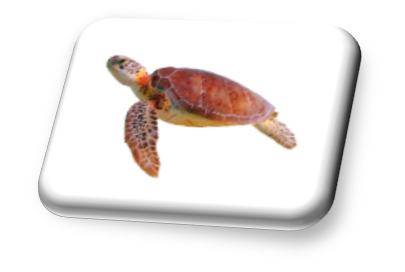 Geneious Prime Version2023.2 更新！ - 知乎