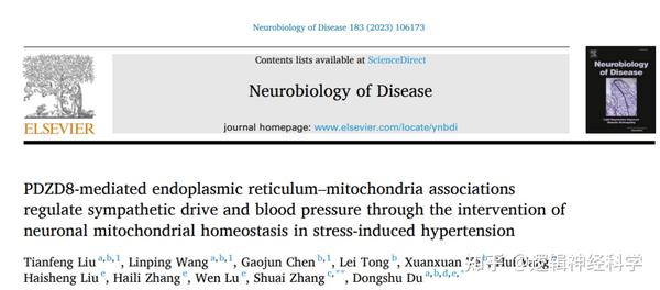 Neurobiol Dis︱上海大学杜东书/张帅团队揭示PDZD8介导RVLM神经元内质网线粒体互作对应激性高血压作用 - 知乎