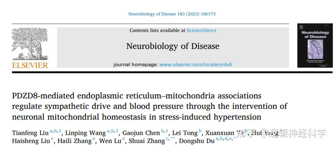 Neurobiol Dis︱上海大学杜东书/张帅团队揭示PDZD8介导RVLM神经元内质网线粒体互作对应激性高血压作用 - 知乎