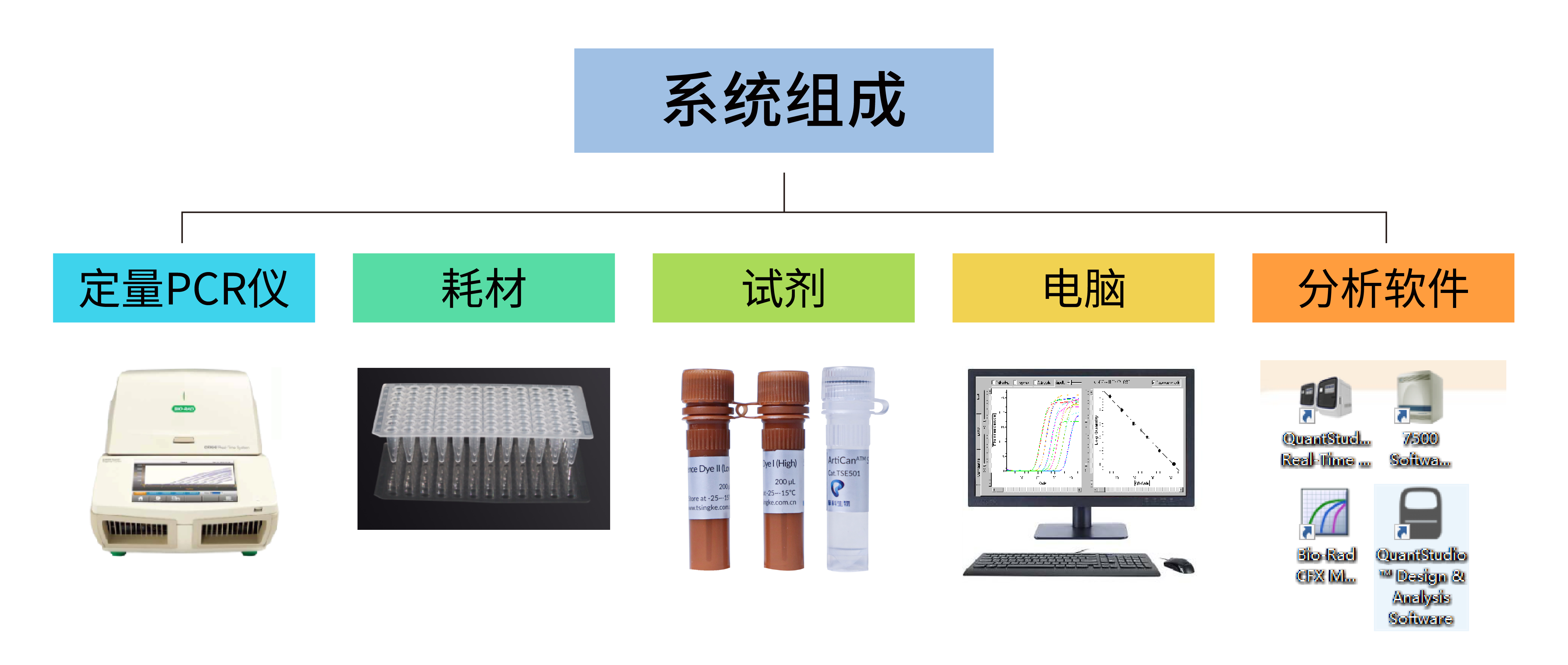 荧光定量PCR(qPCR)从入门到精通-入门篇 - 知乎