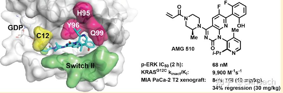 实体瘤共价抑制剂Sotorasib（AMG510）的发现及优化过程 - 知乎