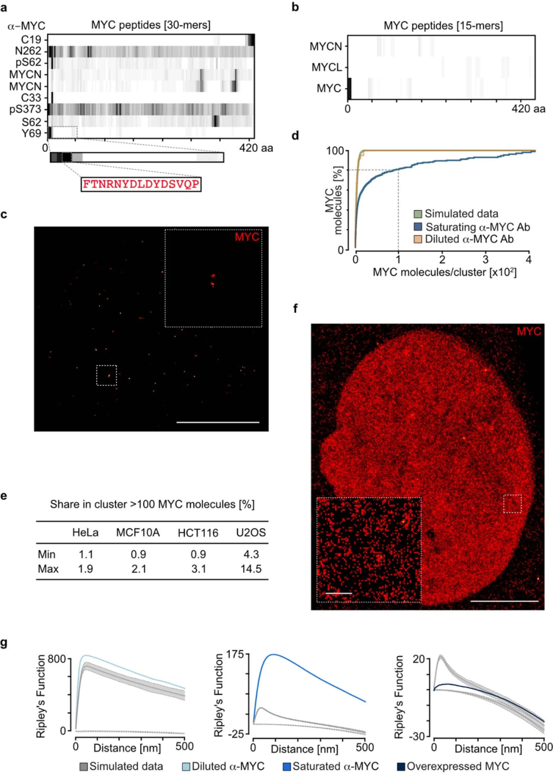 Nature | MYC家族蛋白是癌细胞基因组守护者 - 知乎